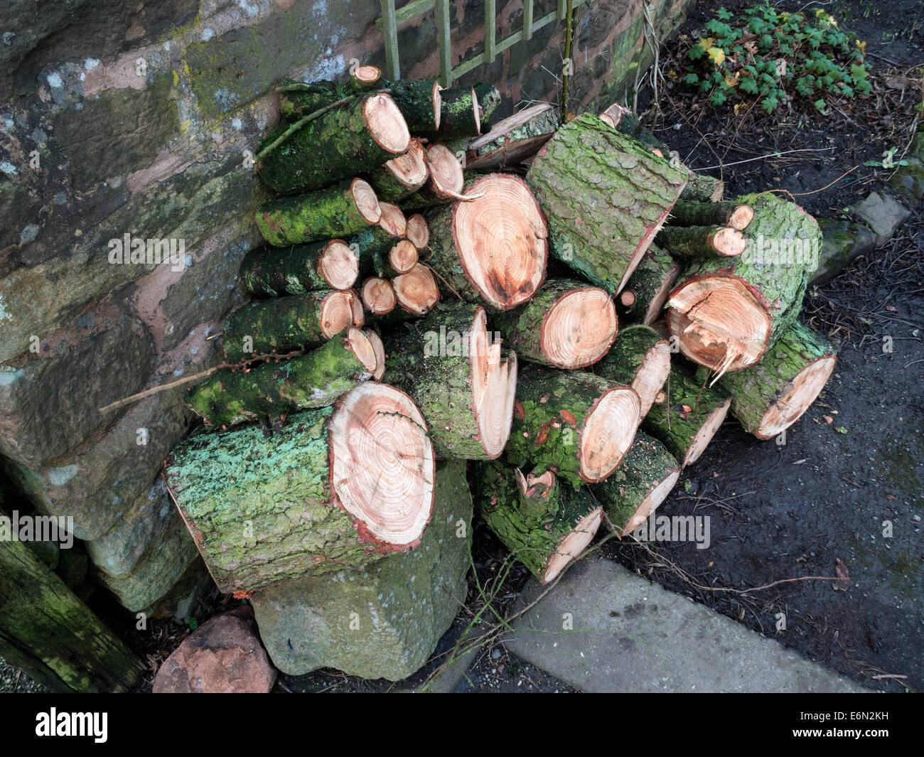 log pile for domestic fuel Stock Photo - Alamy