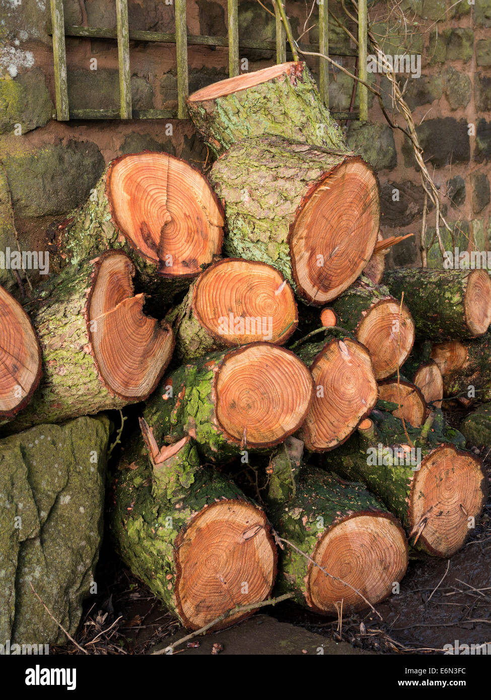 log pile for domestic fuel Stock Photo - Alamy
