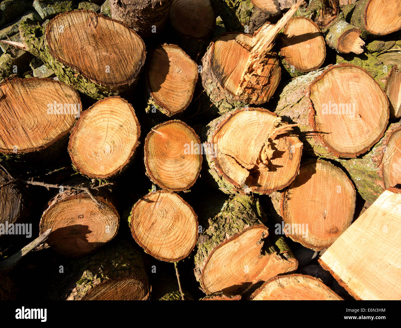 log pile for domestic fuel Stock Photo - Alamy