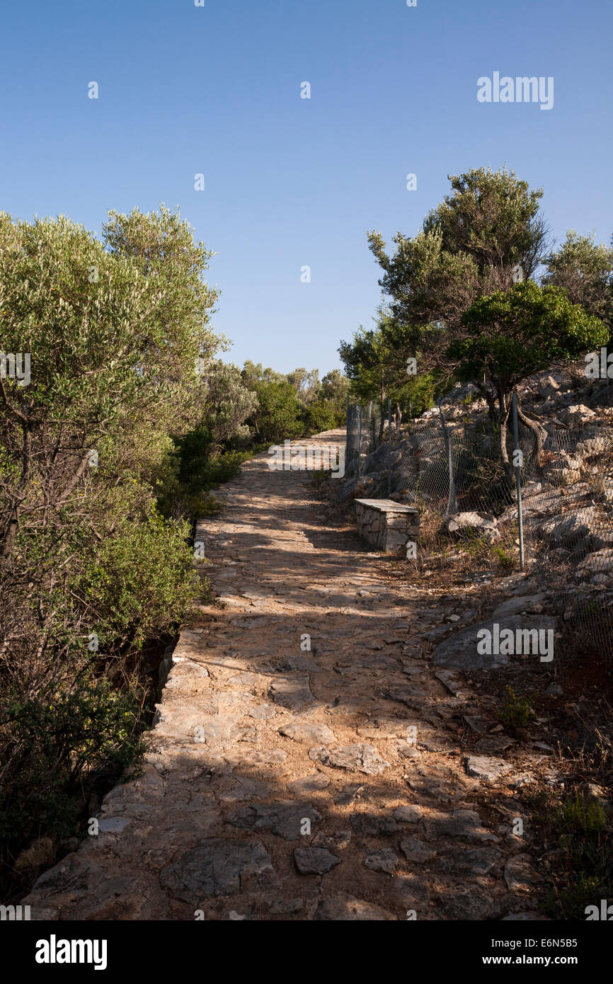 The paved path which connect the Steni Vala and Agios Petros villages ...