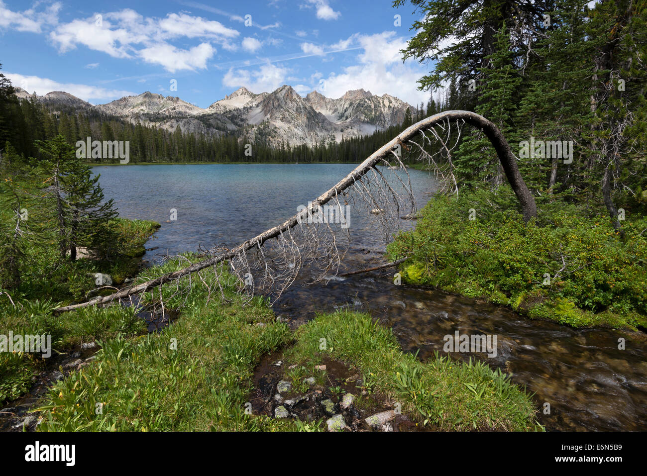 Stream flowing into lake hi-res stock photography and images - Alamy
