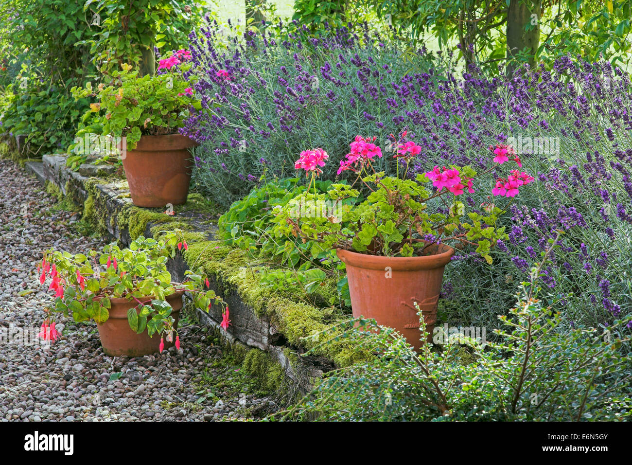 Beautiful country garden Stock Photo - Alamy