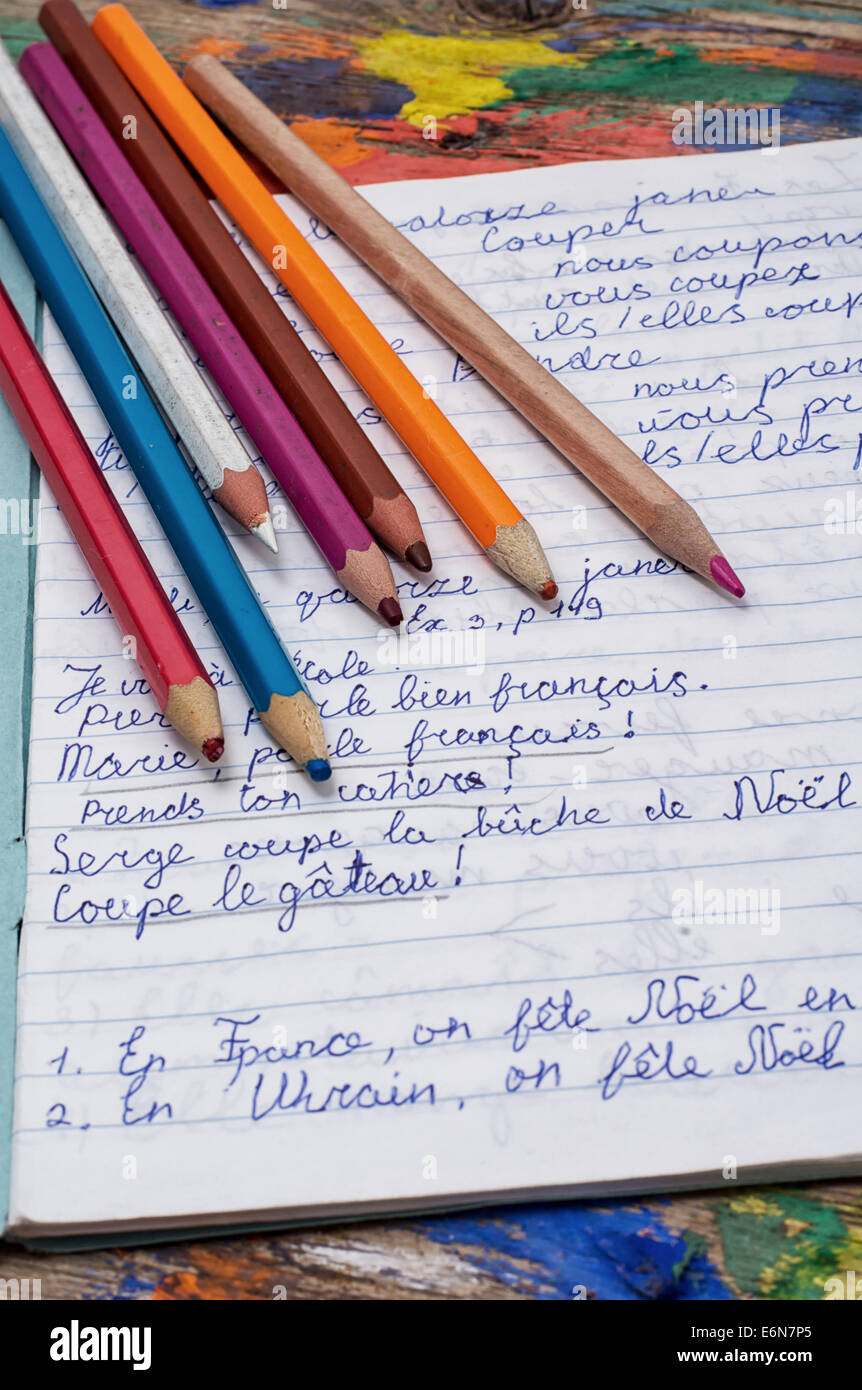 composition with the notebook,pencil,bow schoolgirl first year pupil ...