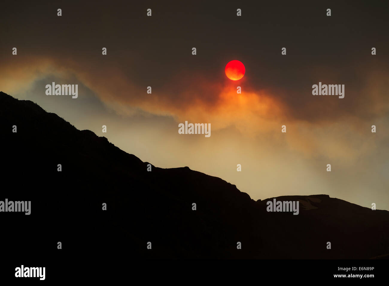 Smoke sun from forest fire hi-res stock photography and images - Alamy