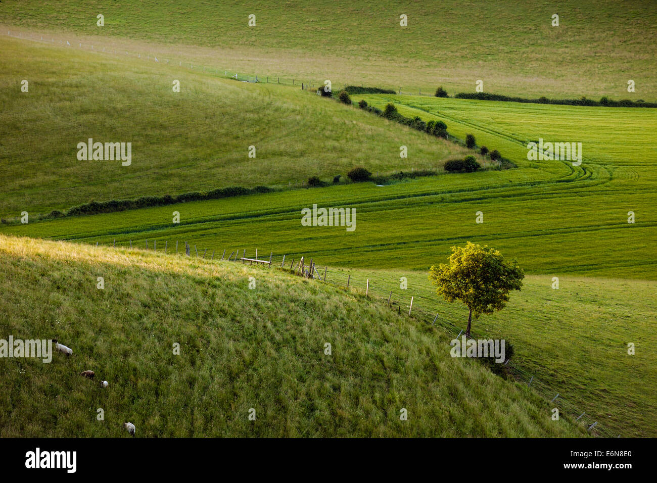 Polegate hi-res stock photography and images - Alamy