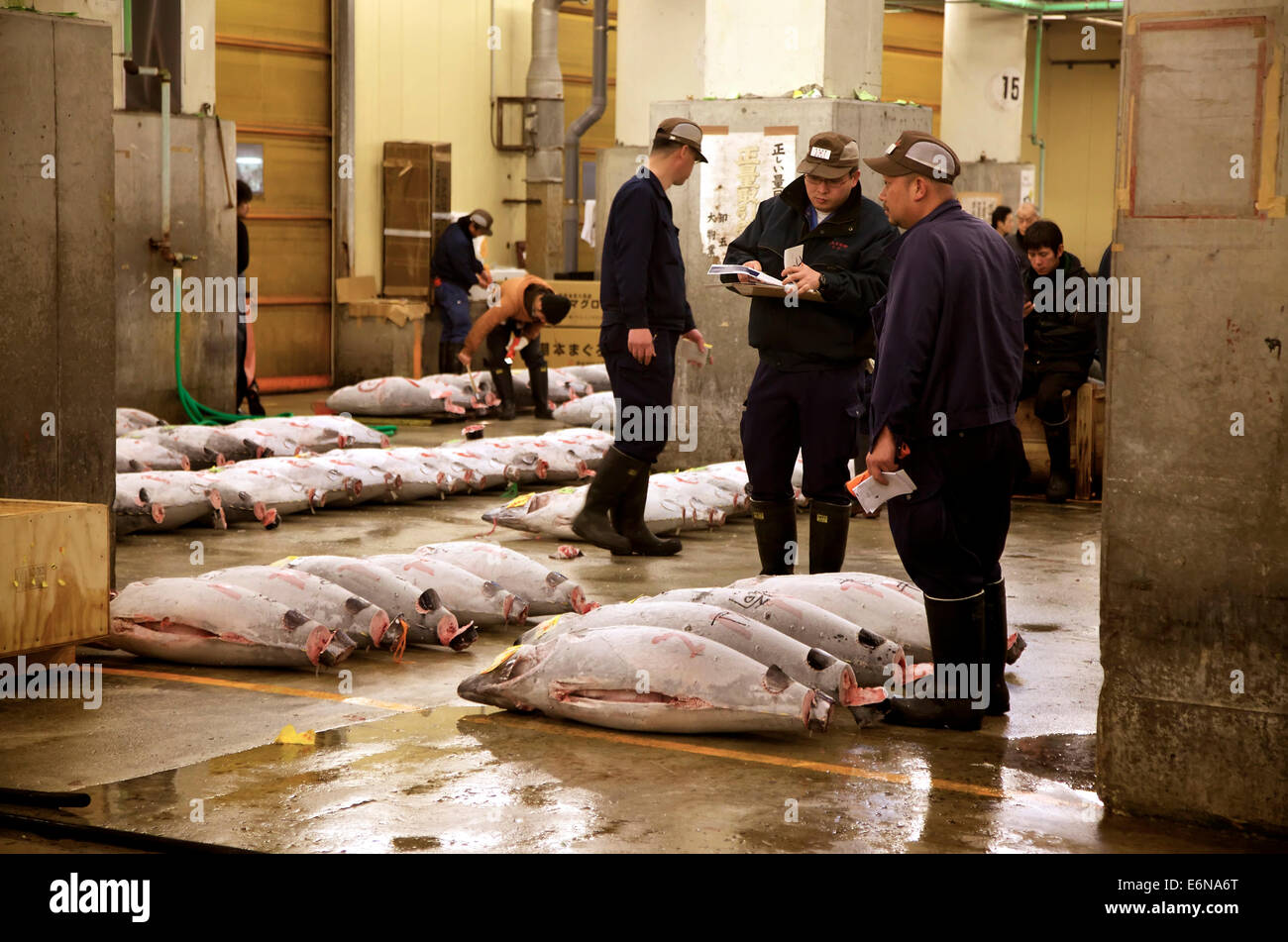 Tuna auction at Tsukiji fish market, Tokyo, Japan, Asia, the largest ...