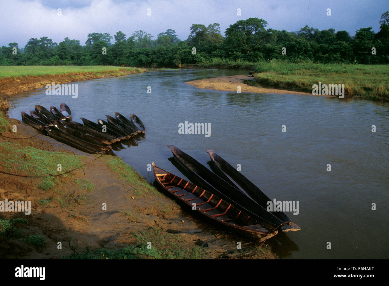 Traditional wooden dugout canoes on the Rapti River in the Chitwan ...