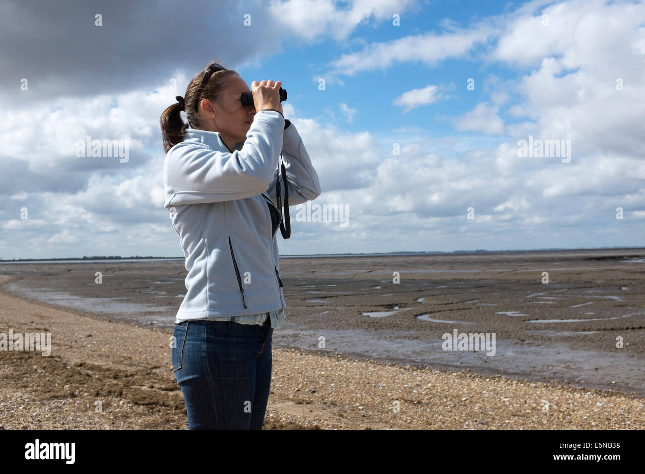woman birdwatching at Snettisham RSPB reserve Norfolk UK Stock Photo ...
