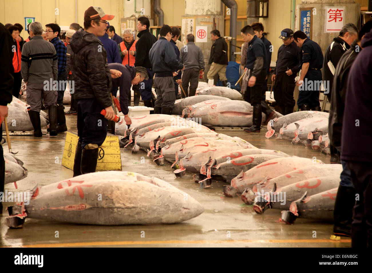 Tuna auction at Tsukiji fish market, Tokyo, Japan, Asia, the largest ...