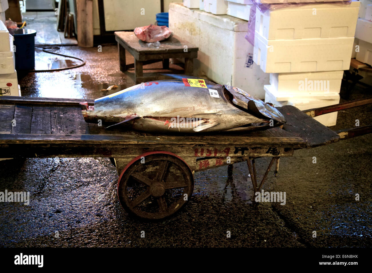 Tuna on cart, tuna auction at Tsukiji fish market, Tokyo, Japan, Asia ...