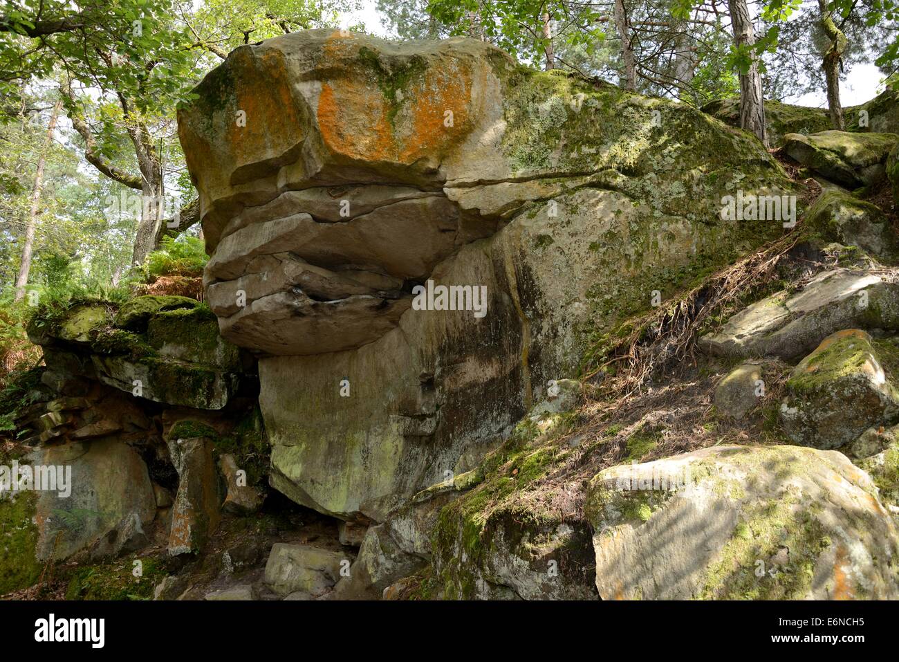 Merlin rock hi-res stock photography and images - Alamy