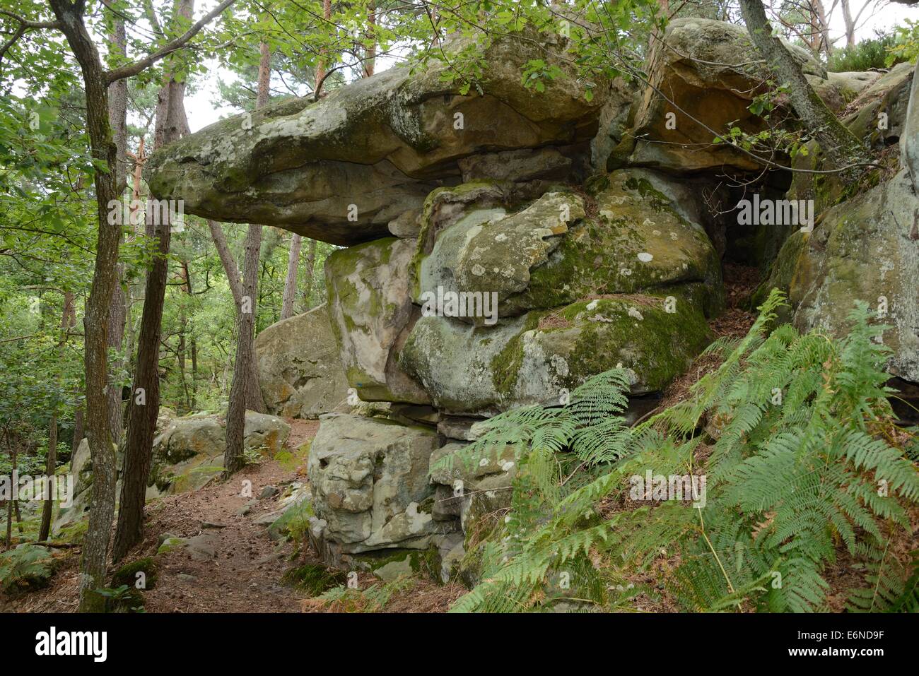 Boulder in Fontainebleau Forest Stock Photo - Alamy