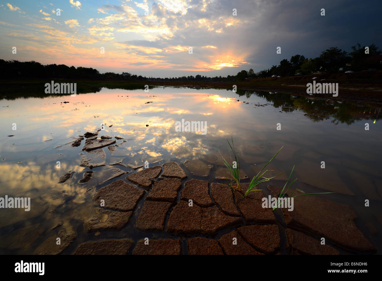 Dry soil texture on the ground Stock Photo - Alamy