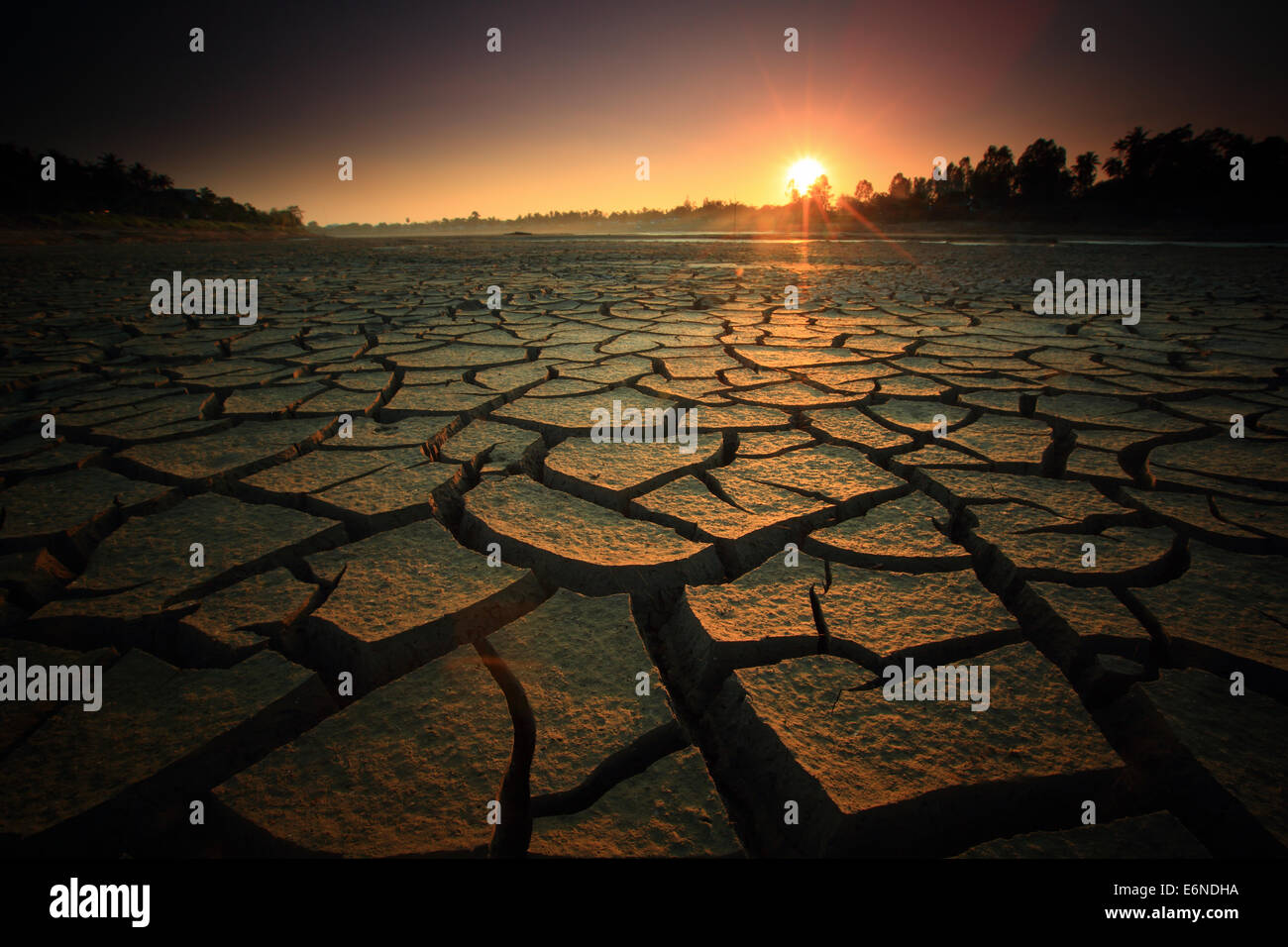 Dry soil texture on the ground Stock Photo - Alamy