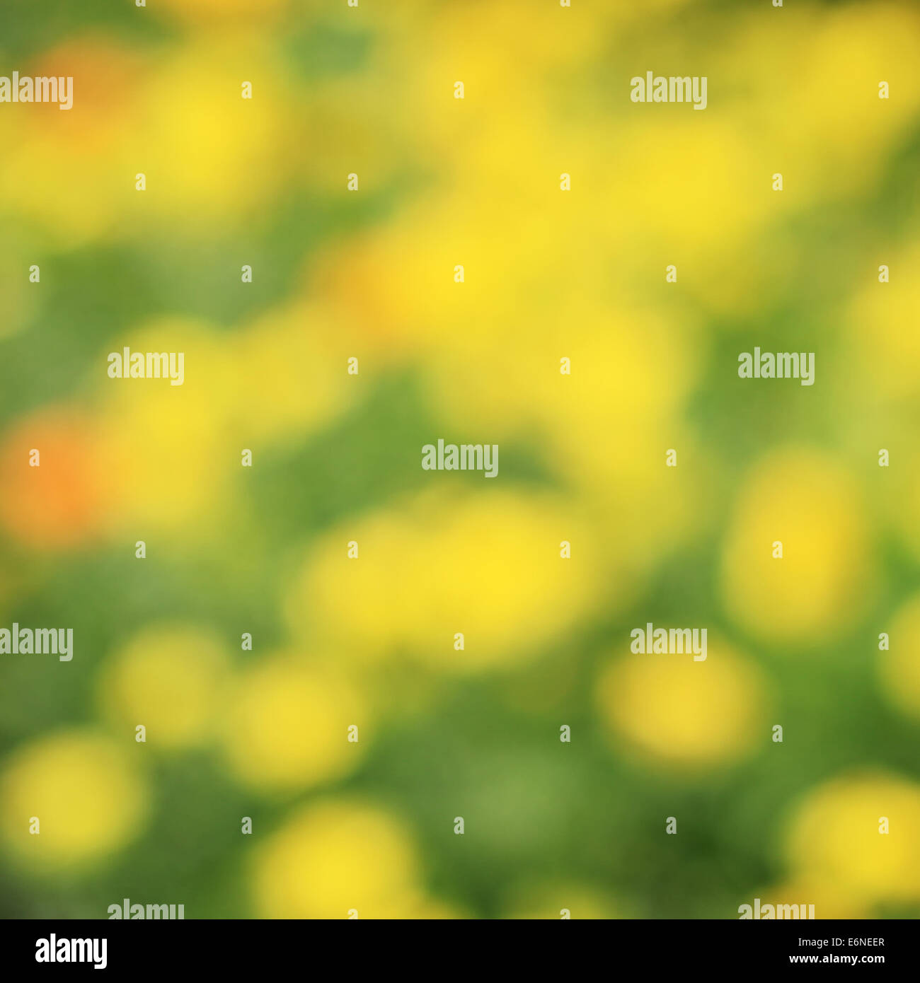 Color and bokeh hi-res stock photography and images - Alamy