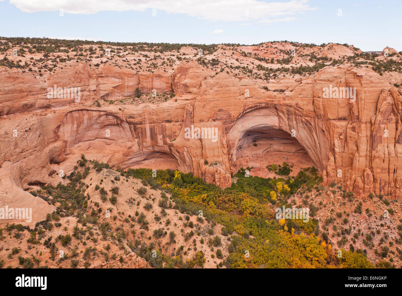 Betatakin ruins in Betatajub canyon - Navajo National Monument, Arizona ...