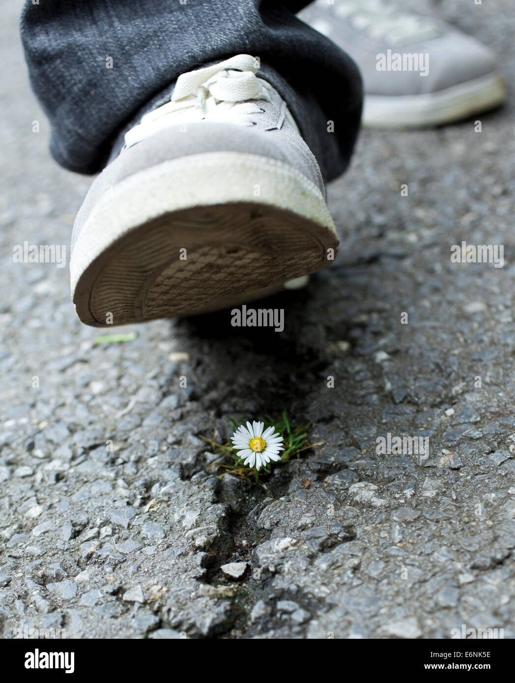 Environment danger concept idea with booth crushing flower Stock Photo ...