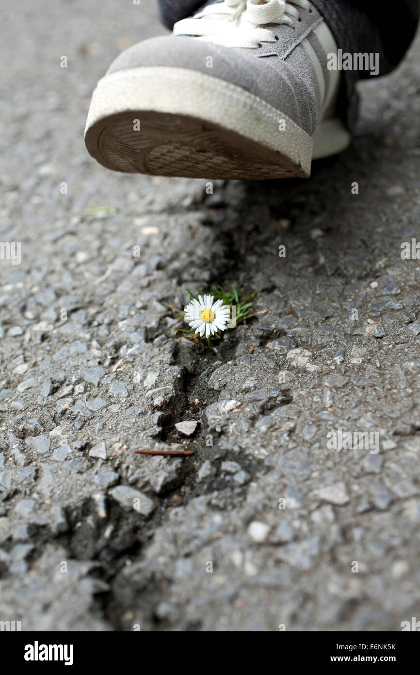 Environment danger concept idea with booth crushing flower Stock Photo ...