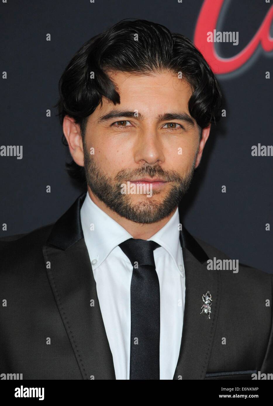 Los Angeles, CA, USA. 27th Aug, 2014. Fernando Noriega at arrivals for ...