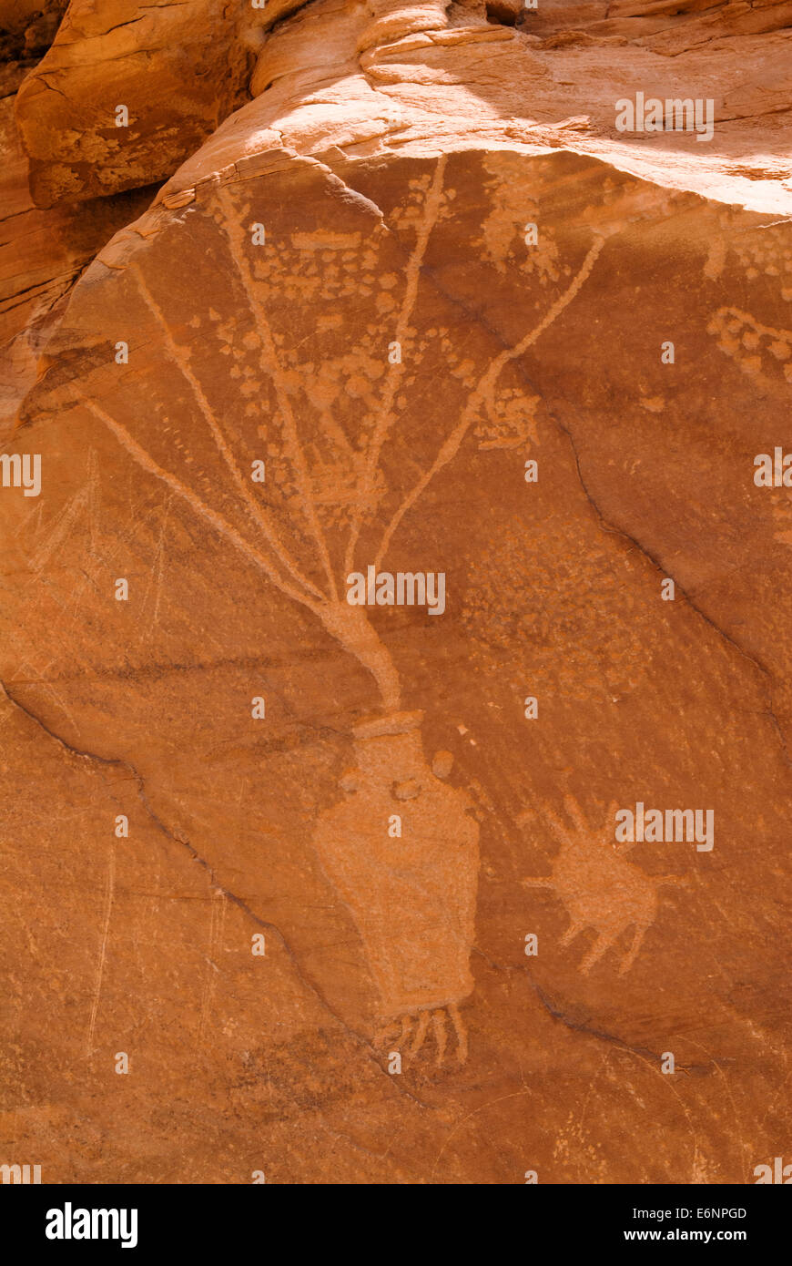 Fremont Petroglyphs Dinosaur National Monument Utah USA Stock Photo - Alamy