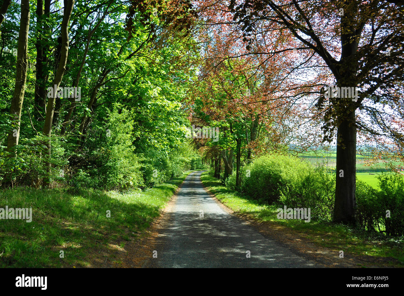 Deserted country road in the North Yorkshire Moors Stock Photo - Alamy