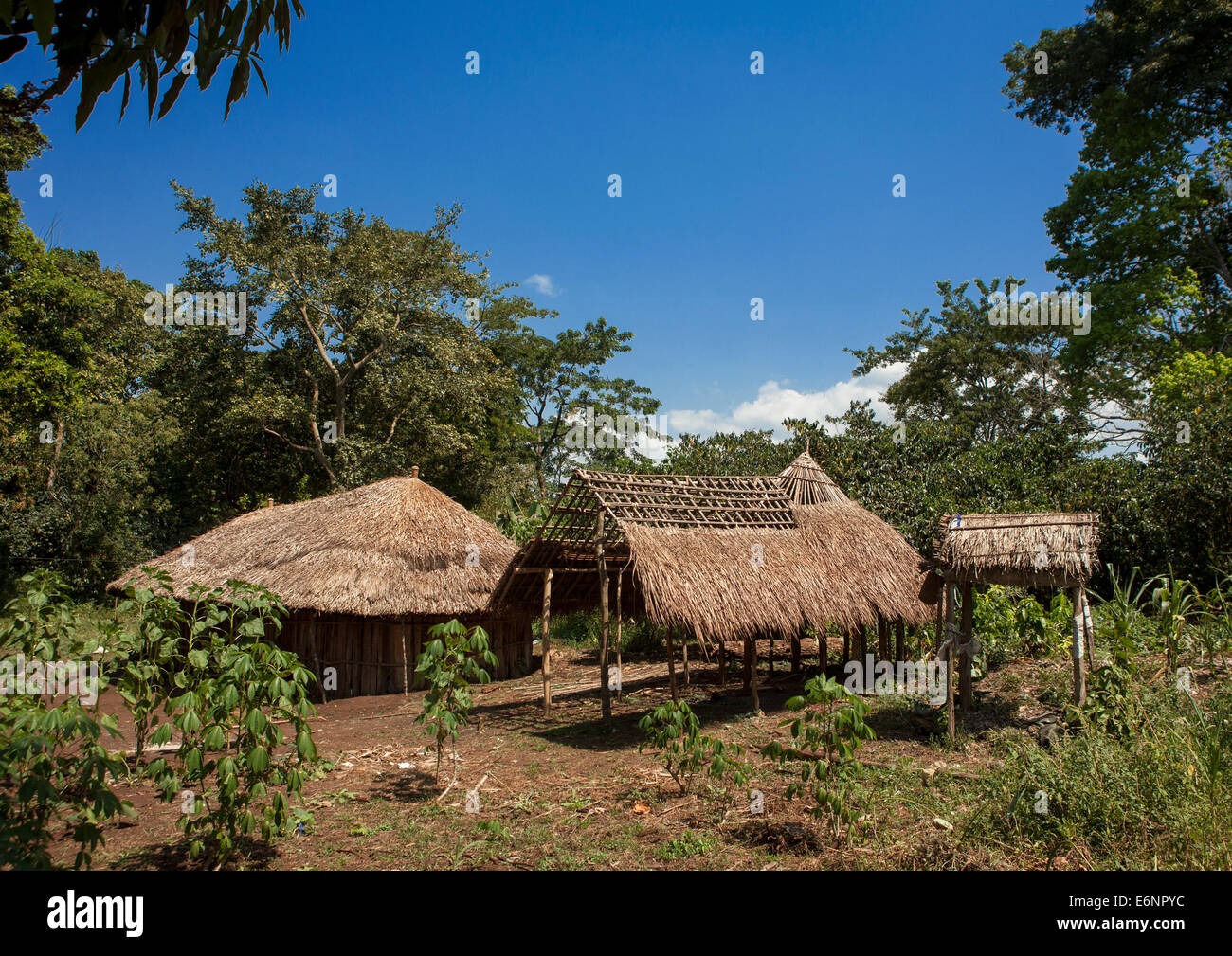 Majangir hi-res stock photography and images - Alamy