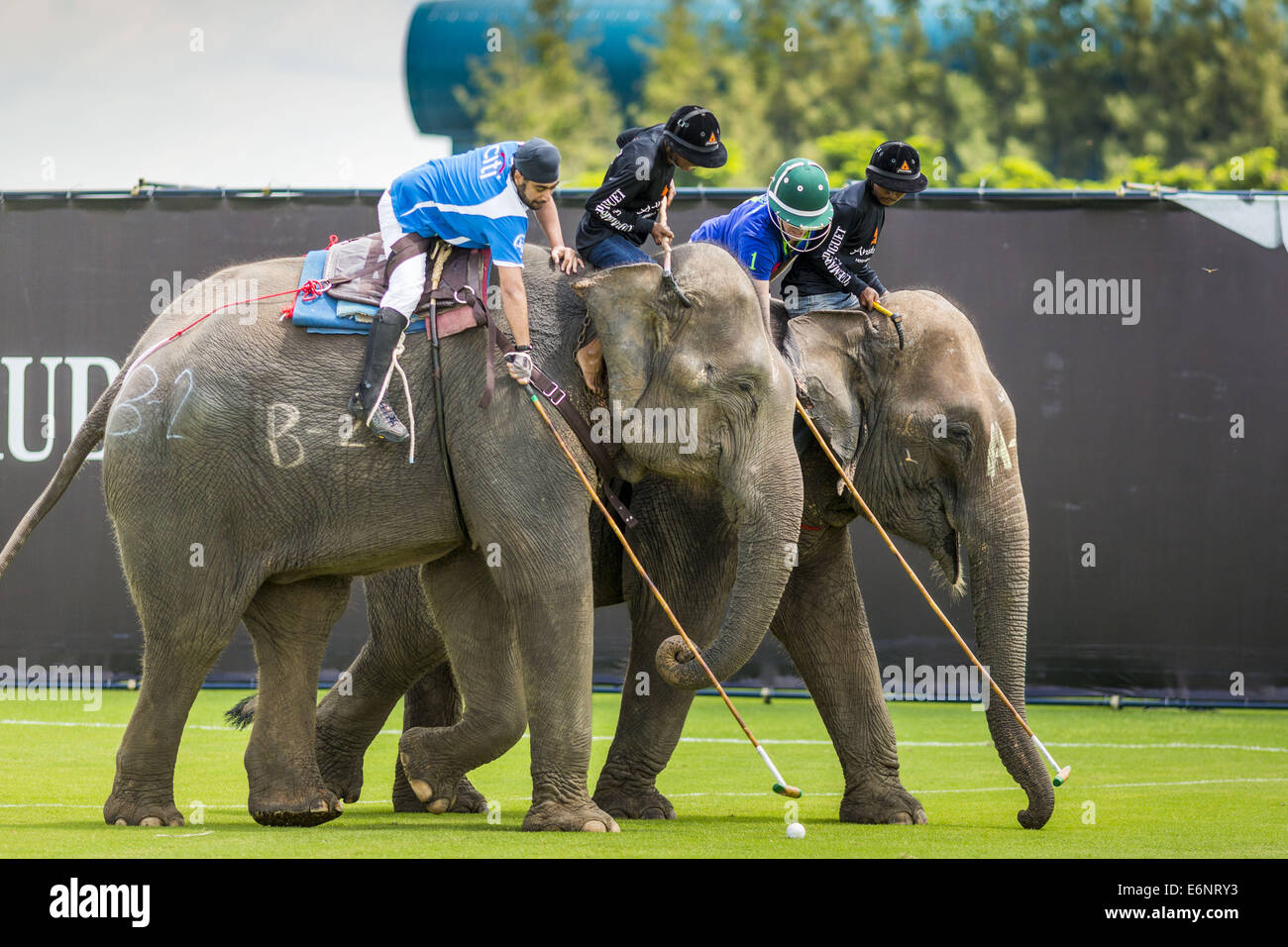 Bangkok, Thailand. 28th August, 2014. Elephant polo action at the King ...