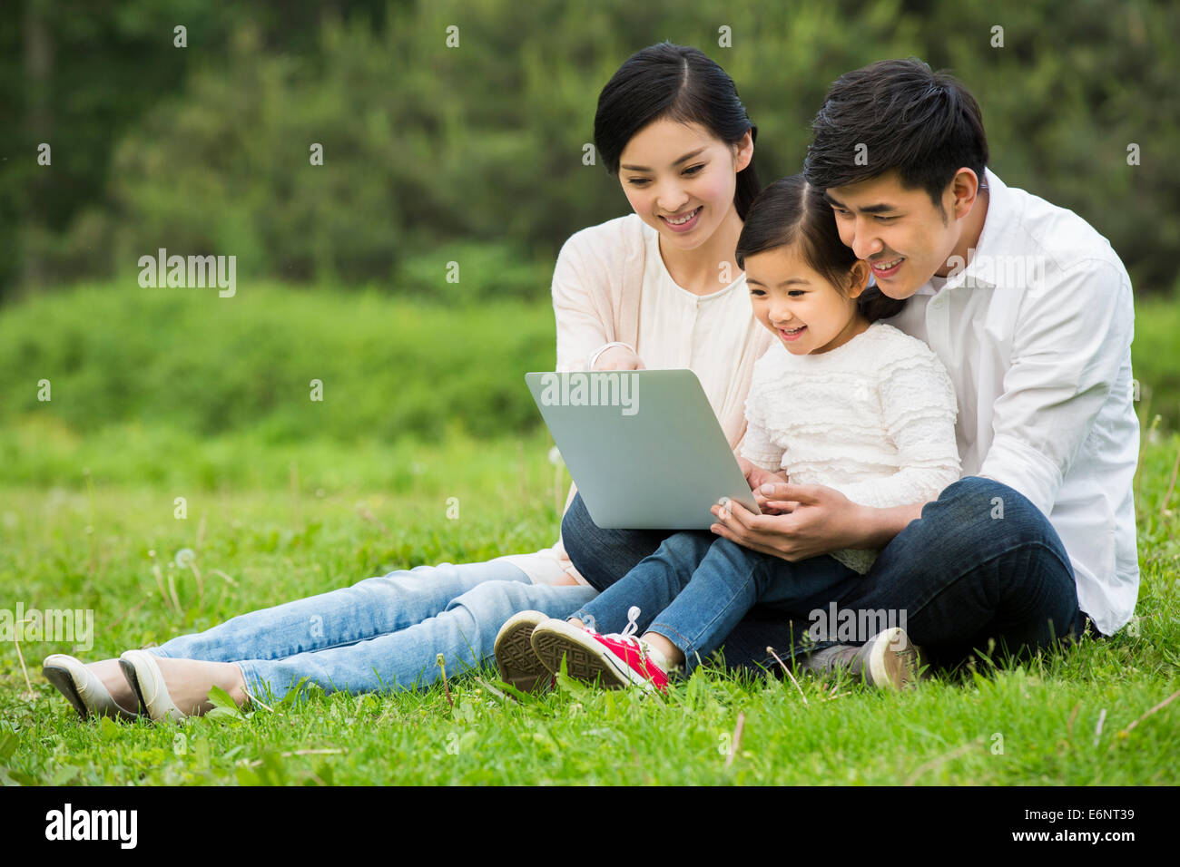 Happy family using laptop on the grass Stock Photo - Alamy