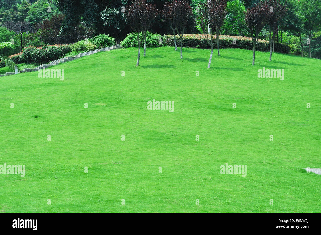 Tranquil garden hi-res stock photography and images - Alamy