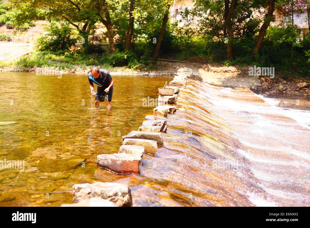 Hefei, China's Anhui Province. 31st July, 2014. A villager catches fish ...