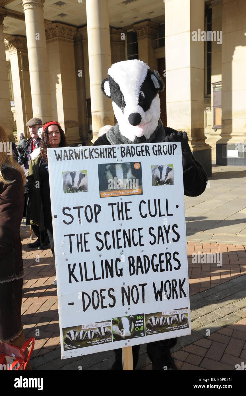 A large crowd gathers in Birmingham city centre to protest against the ...