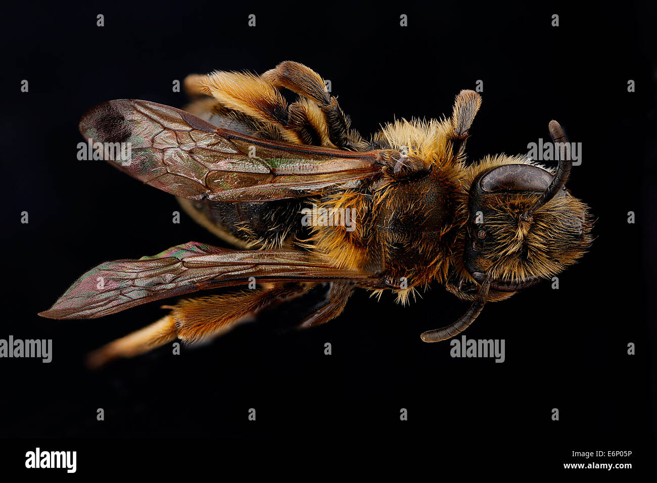 Dmap hi-res stock photography and images - Alamy