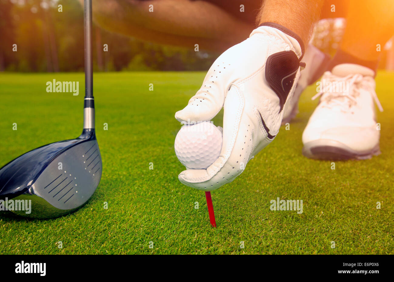 hand placing a tee with golf ball Stock Photo - Alamy