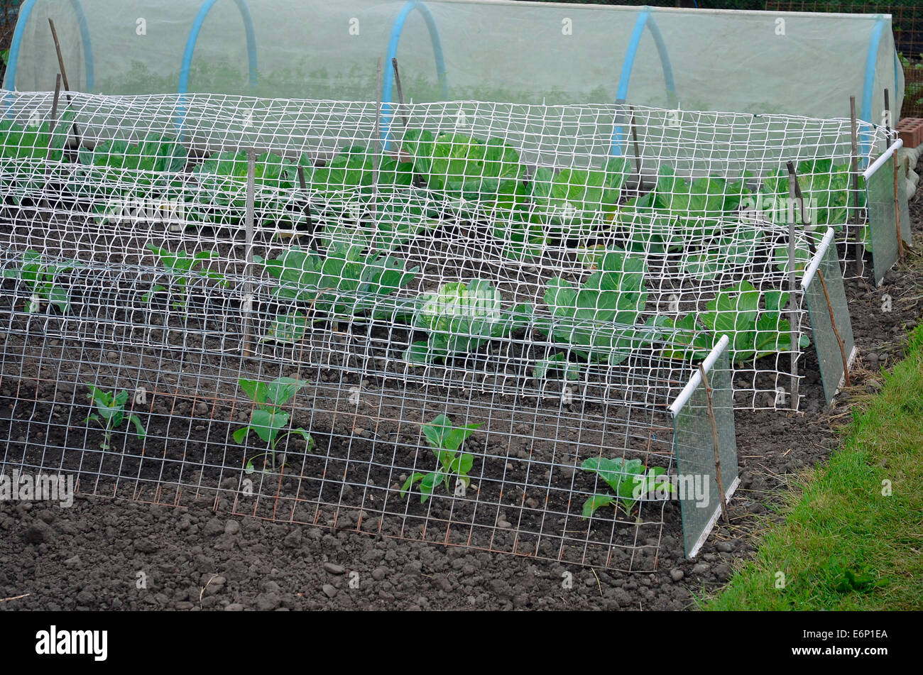 Crop protection hi-res stock photography and images - Alamy