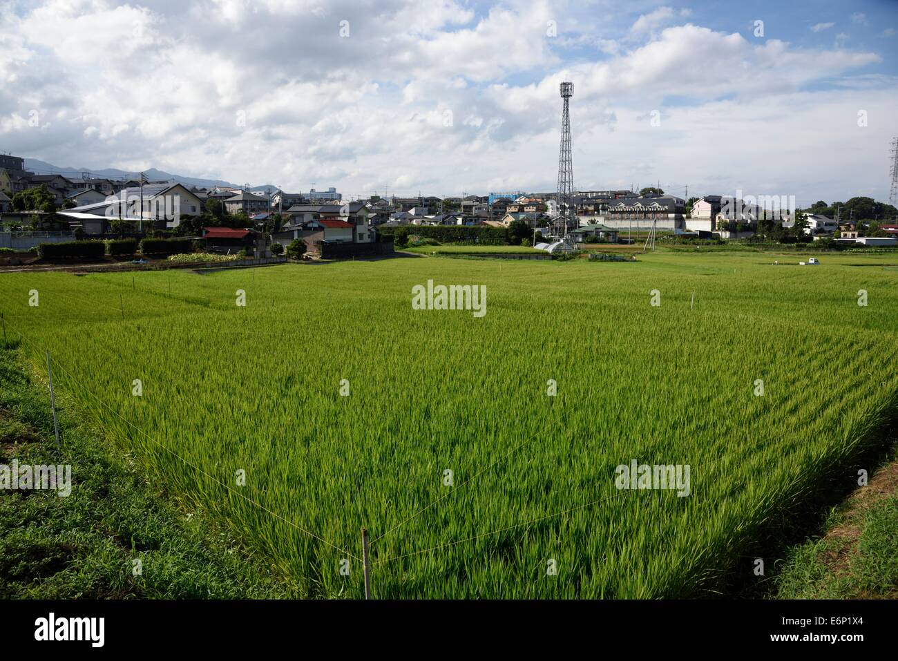 Isehara japan hi-res stock photography and images - Alamy