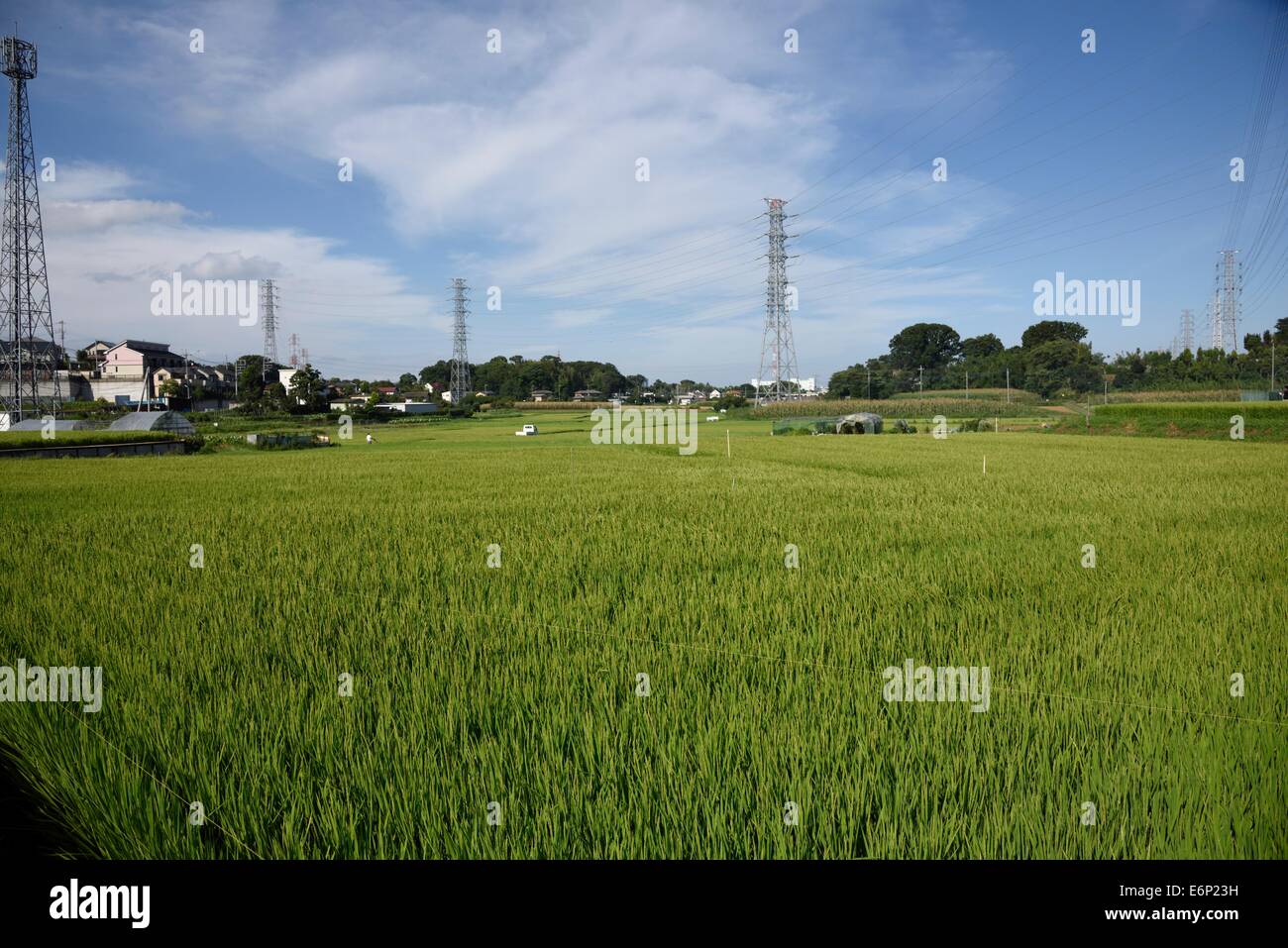 Japan rice field technology hi-res stock photography and images - Alamy