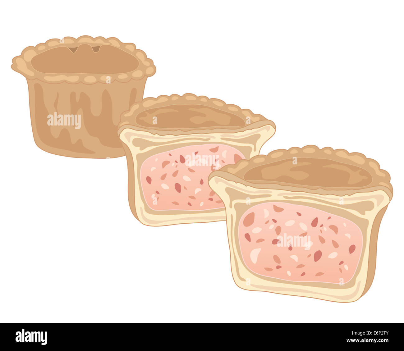 an illustration of crusty pork pies one cut in half on a white ...