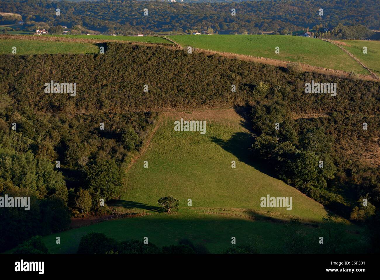 France, Atlantic-Pyrenees(64), Basque country, landscape of Labourd and ...