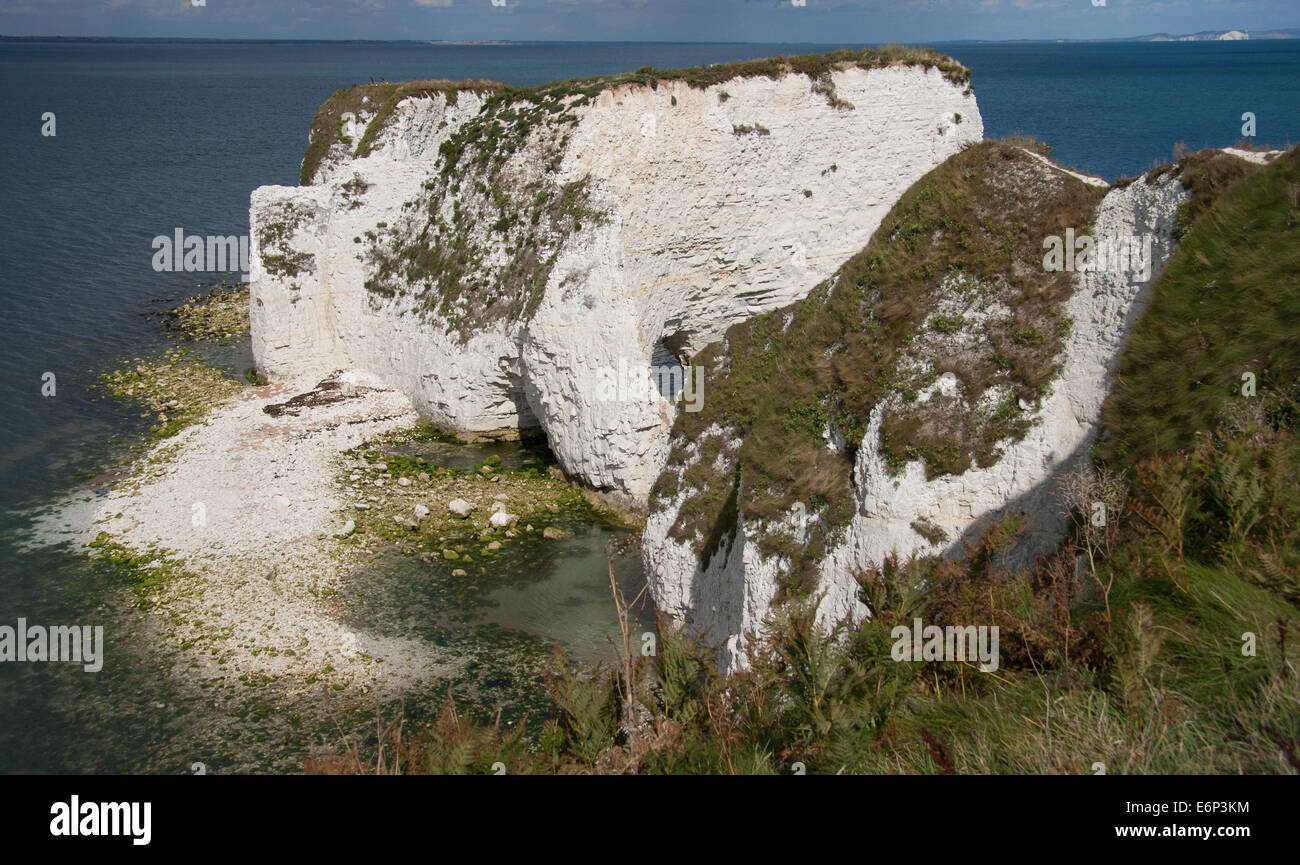The Old Harry Rocks, Dorset, England Stock Photo - Alamy