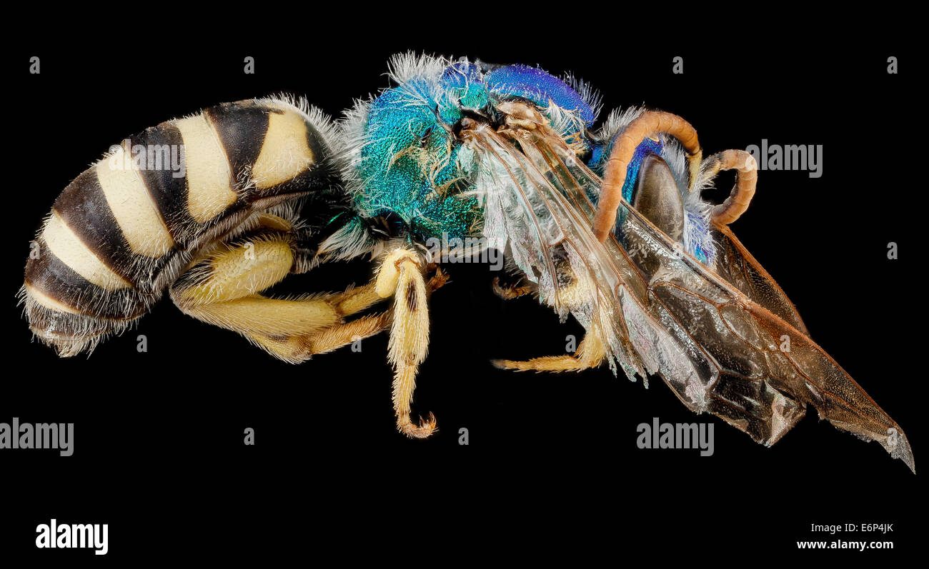 153437 hi-res stock photography and images - Alamy