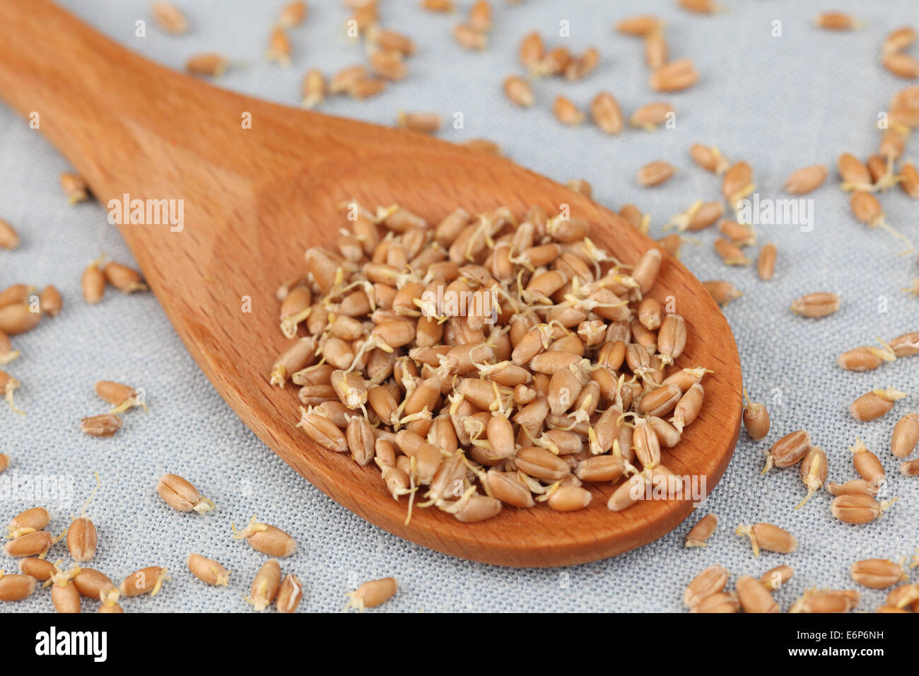 Wheat germ hi-res stock photography and images - Alamy