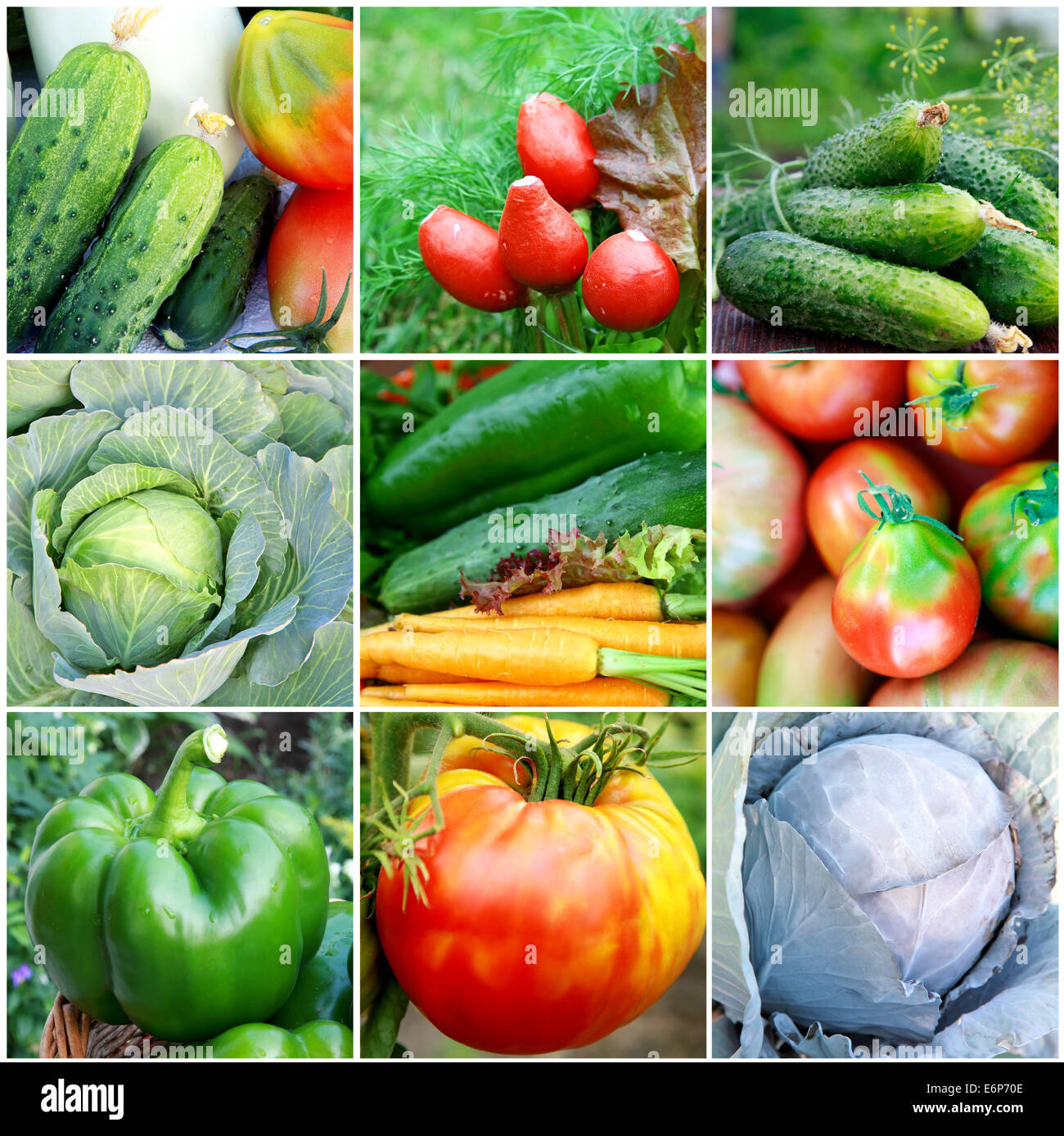 Collage Vegetables Tomato Stock Photos & Collage Vegetables Tomato ...