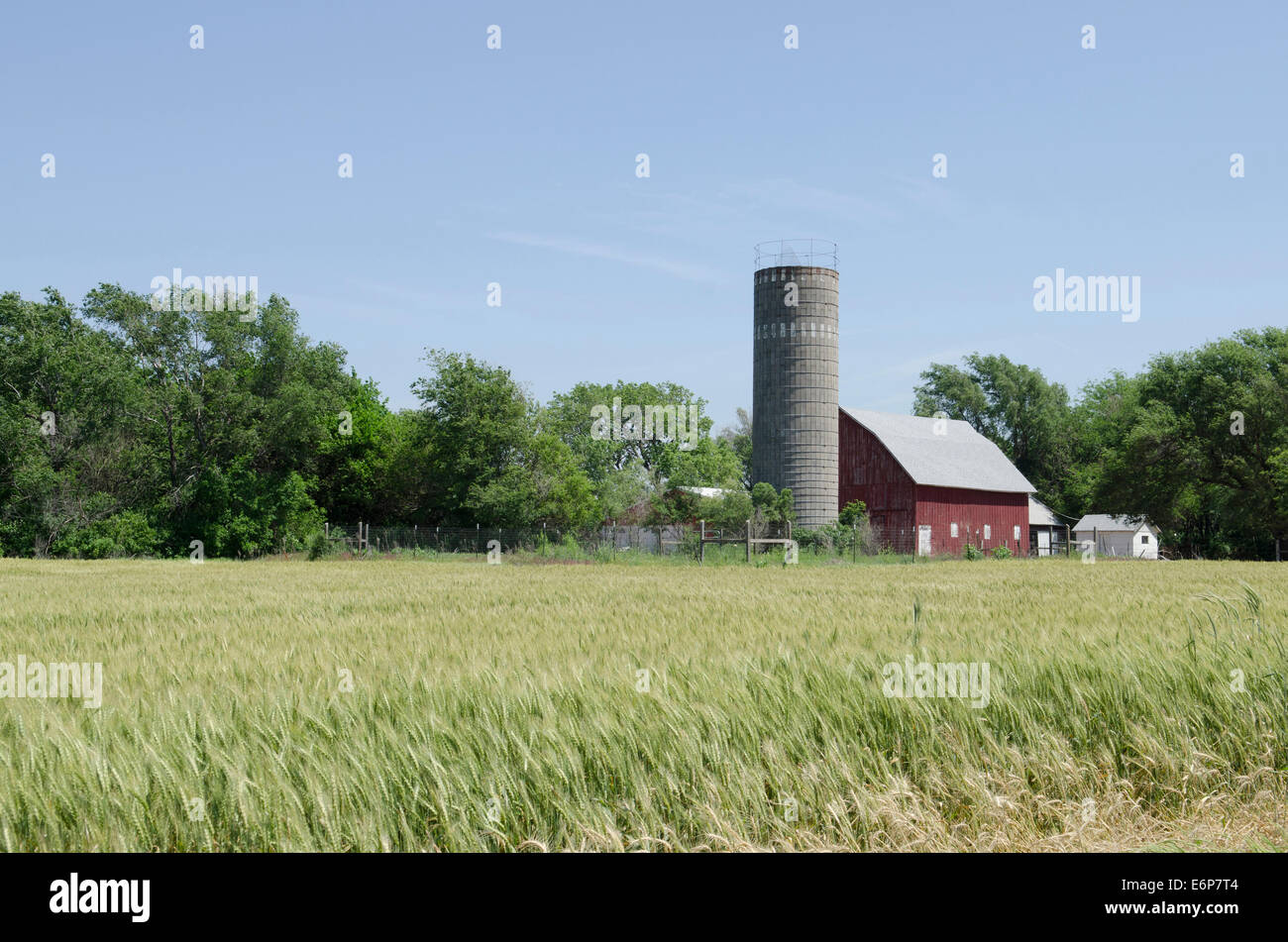 Kansas wheat hi-res stock photography and images - Alamy