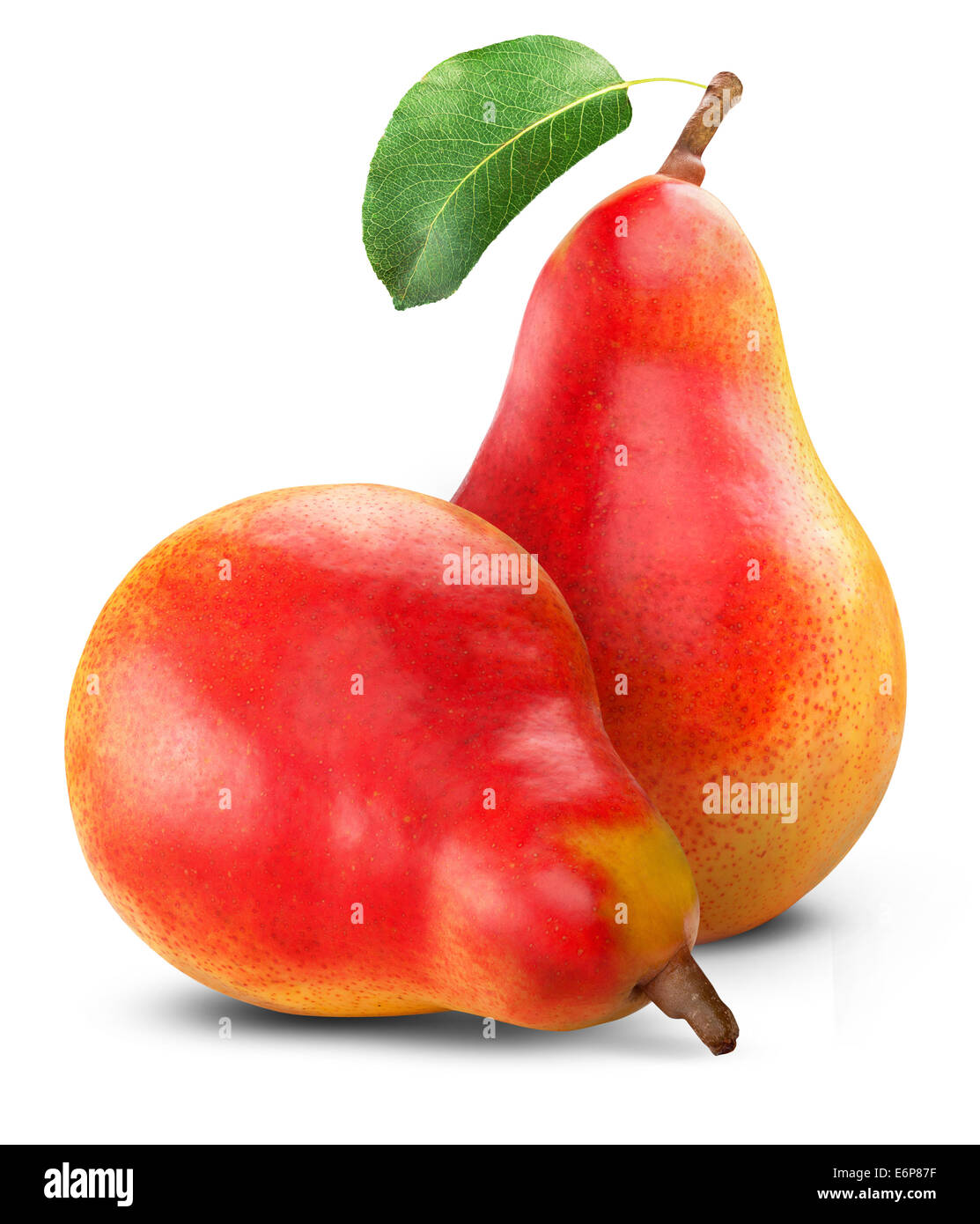 Pear plant Cut Out Stock Images & Pictures - Alamy