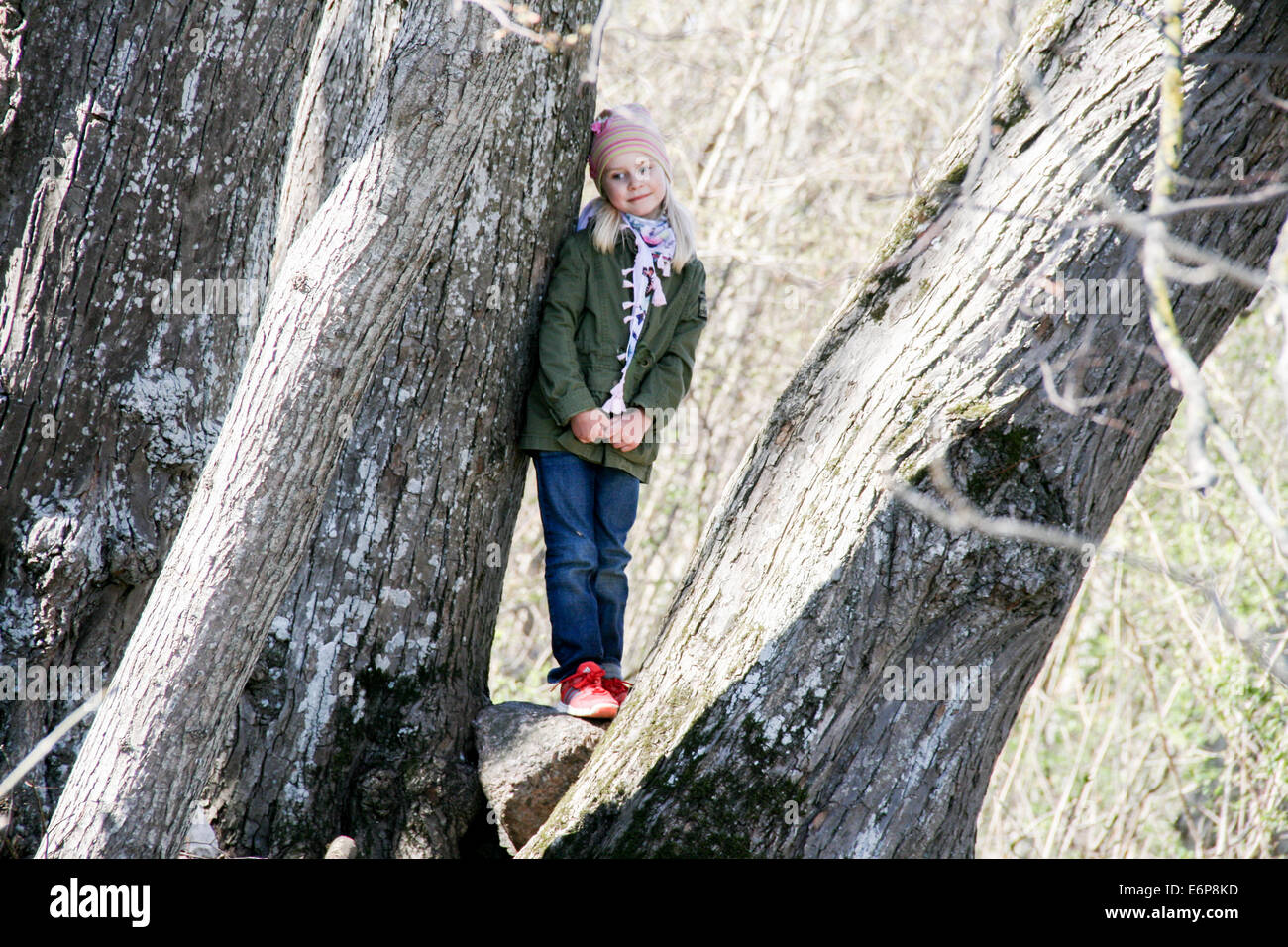 6 trees hi-res stock photography and images - Alamy