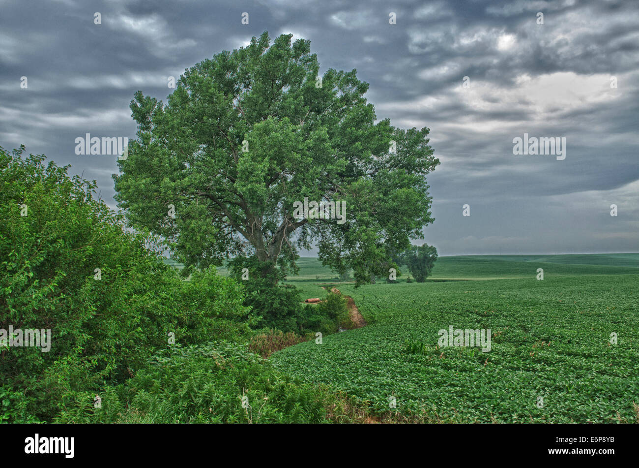Nebraska landscape hi-res stock photography and images - Alamy