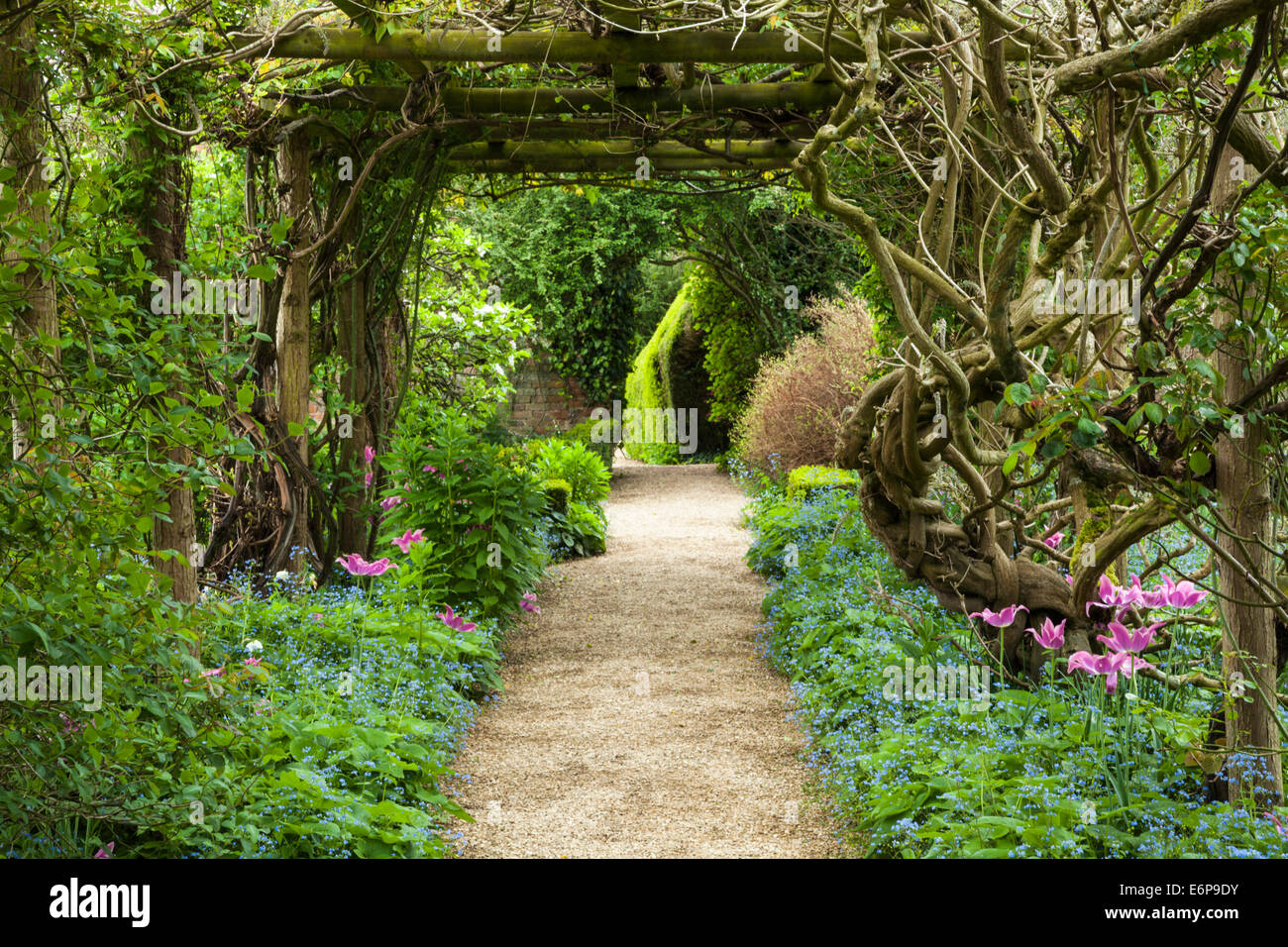 Beneath the timber-framed pergola entwined with ancient wisteria yet to ...