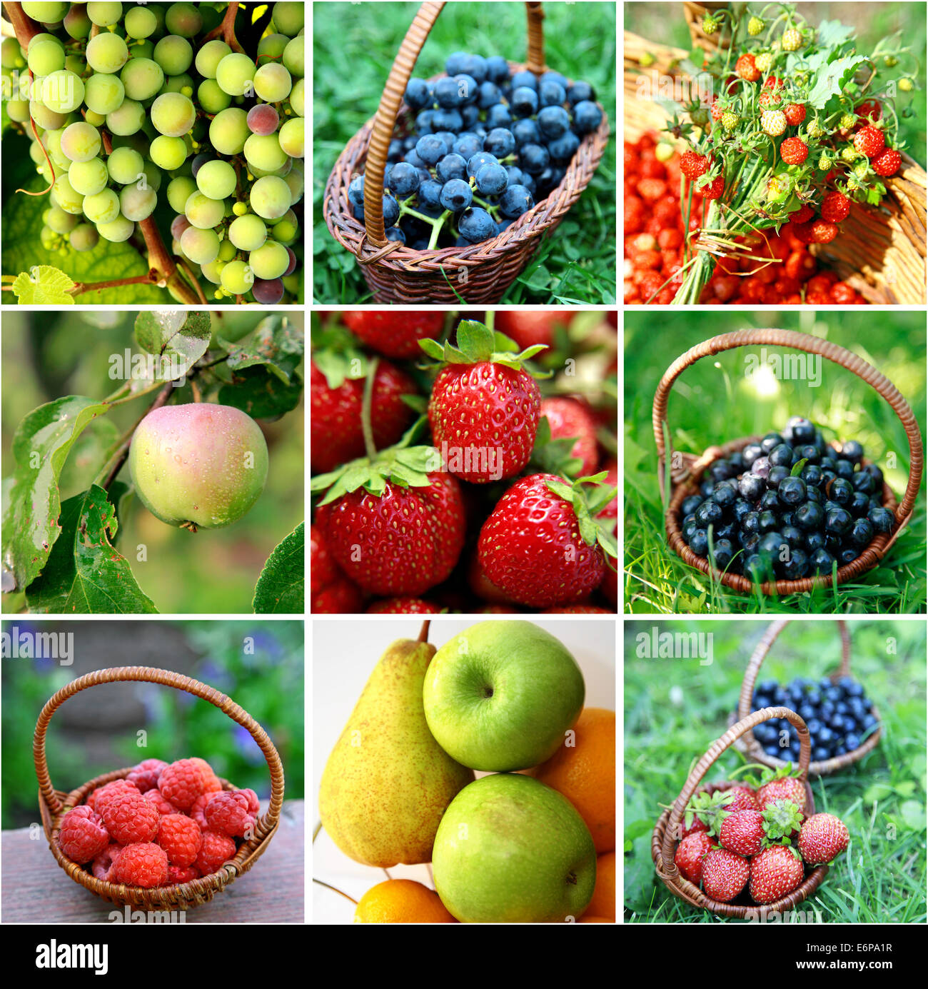Collage of berries and fruits Stock Photo - Alamy