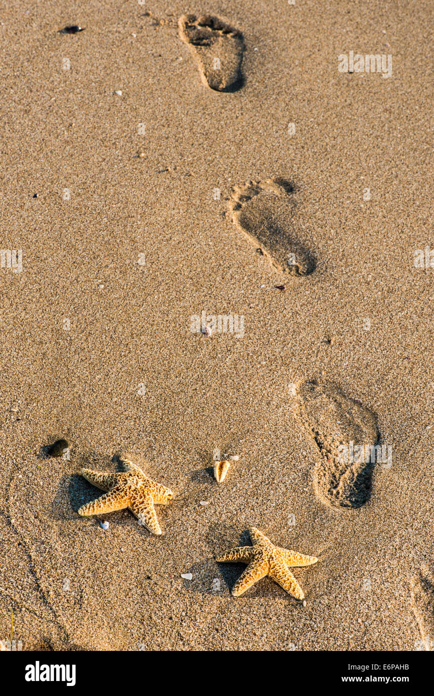 Food steps on beach hi-res stock photography and images - Alamy
