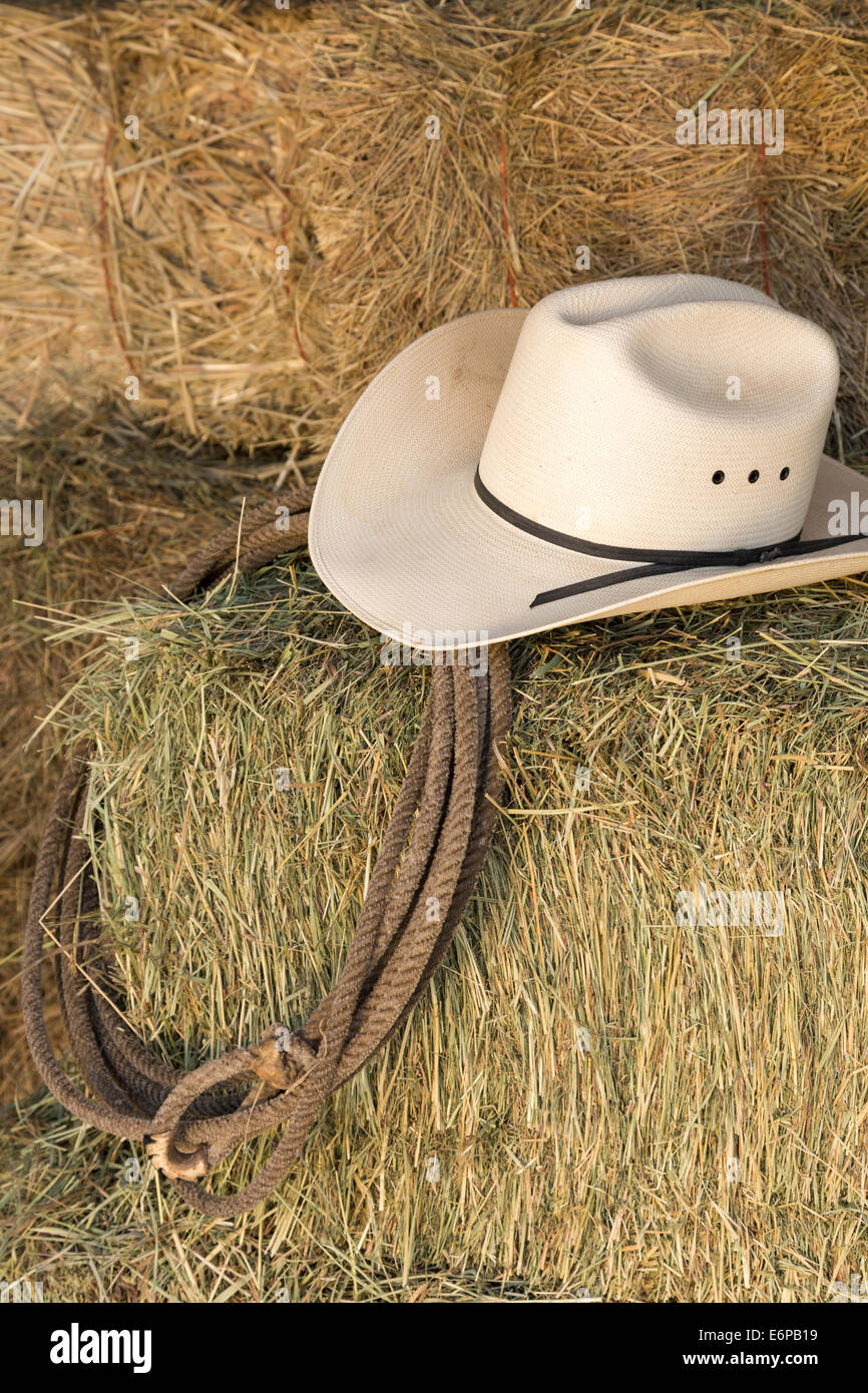 Still Life Cowboy Hat and Lariat on a Bale of Hay, Montana, USA Stock ...